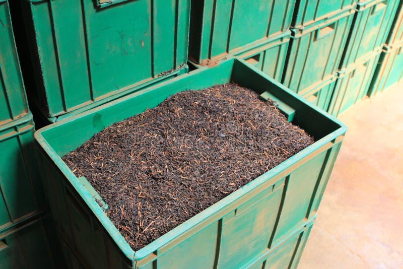 A Lot of Boxes of Black Tea in the Tea Factory Warehouse Stock Photo ...