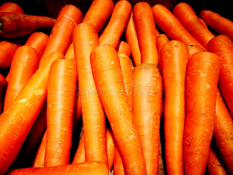 A lot of carrot stock photo. Image of carrot, carrots - 90149342