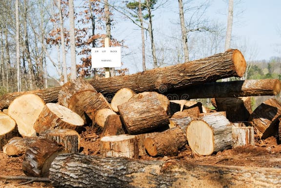 Lot Clearing/New Construction Stock Photo - Image of architecture ...