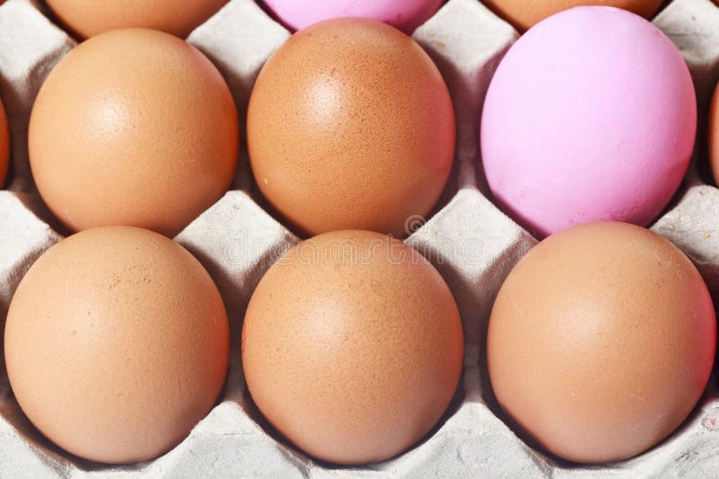 Lot of Colorful Eggs in a Row on a Tray Stock Image - Image of cook ...
