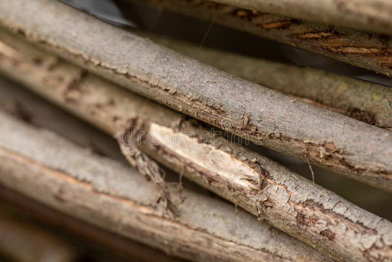 A Lot of Cut Branches. a Bunch of Flexible Branches Stock Photo - Image ...