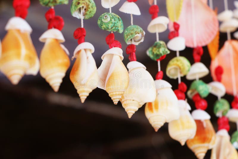Lot of decorative shells stock image. Image of nice - 165692941