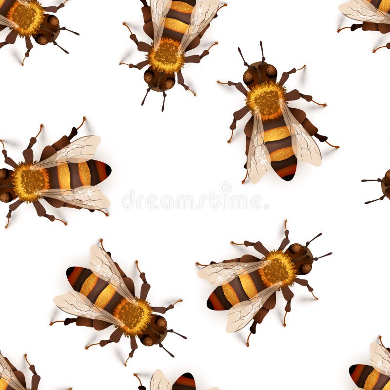 Lot of Detailed Realistic Honey Bees, Insects on White Seamless Pattern ...