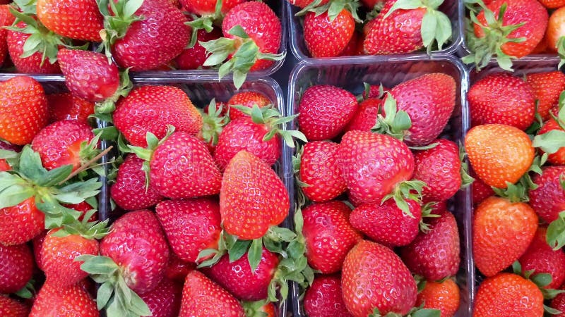 A Lot of Different Strawberries in Plastic Trays in the Supermarket ...