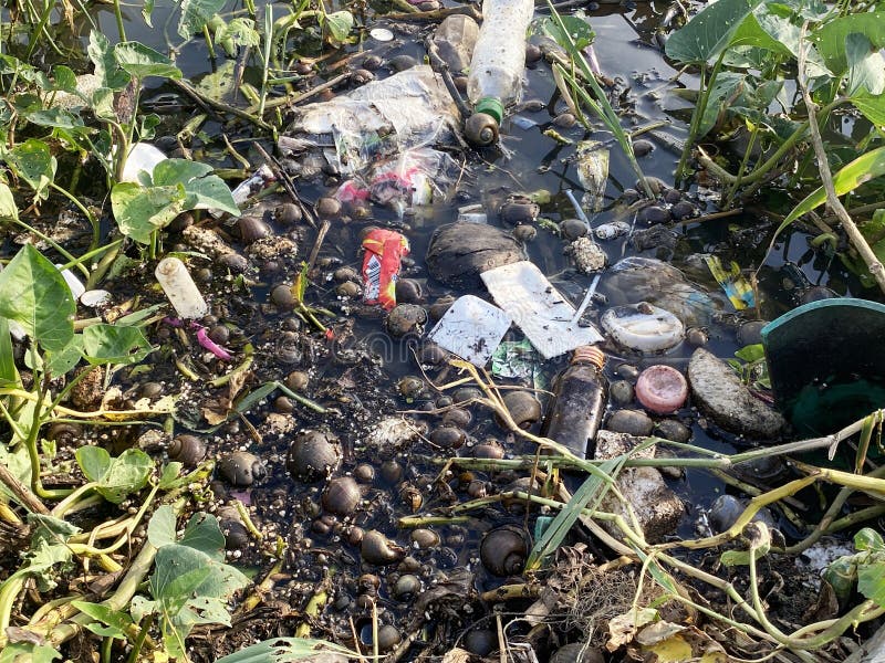 Lot of Different Types of Waste in the Ground Editorial Image - Image ...