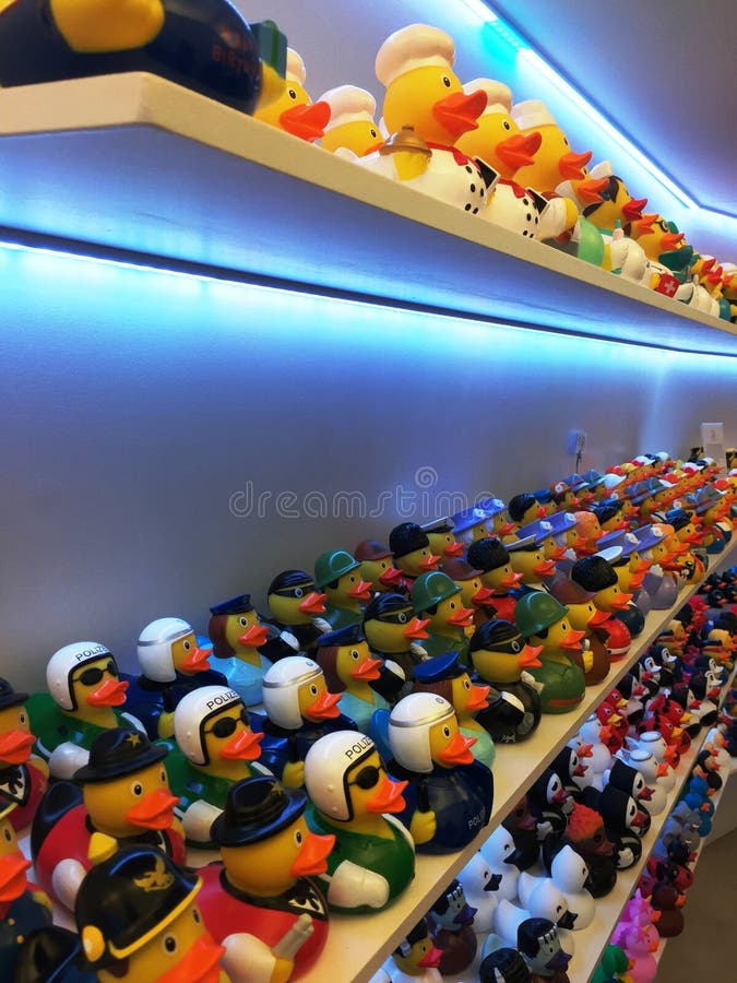 A lot of Ducks editorial stock image. Image of angle - 95273944
