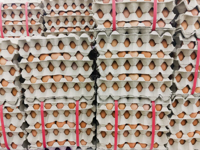 A Lot of Egg in Panel Display on Fresh Market Stock Photo - Image of ...