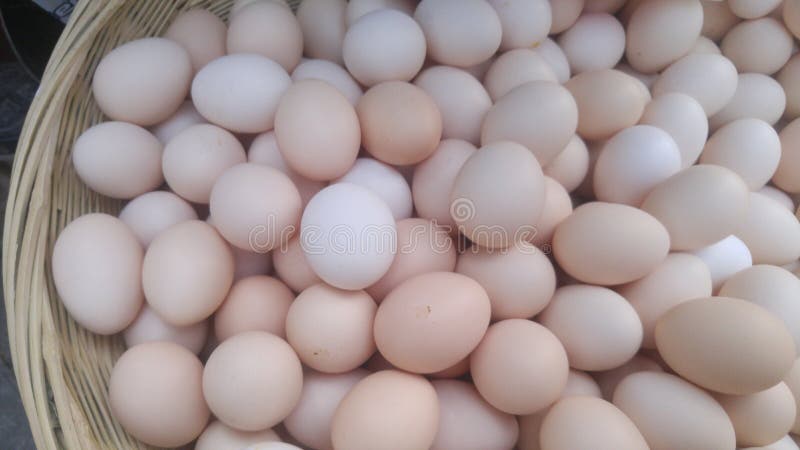 A Lot of Eggs in a Basket, the Close-up of the Eggs Stock Photo - Image ...
