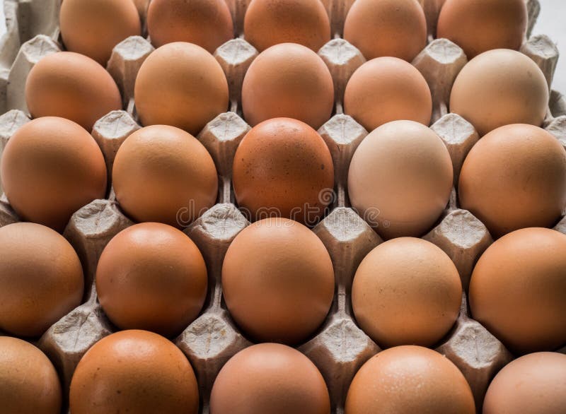 A Lot of Eggs in the Package. Stock Image - Image of group, container ...