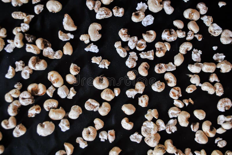 248 Black Gold Popcorn Background Stock Photos - Free & Royalty-Free ...