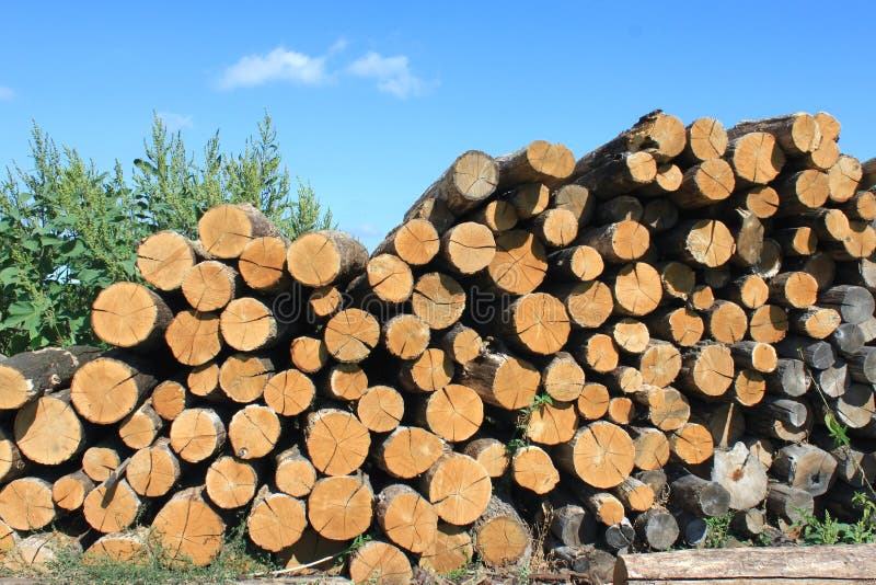 Camp Firewood stock photo. Image of piled, kindling, fire - 1045672