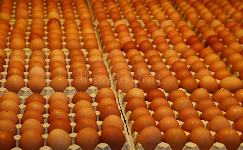 A Lot of Fresh Chicken Eggs on Display Stock Image - Image of concept ...