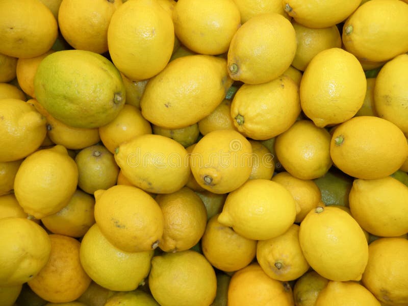 Lots of fresh lemons stock photo. Image of orange, diet - 138519468