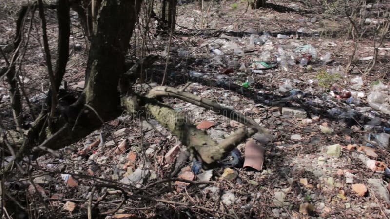 A Lot of Garbage Falls on the Ground at Forest. Stock Footage - Video ...