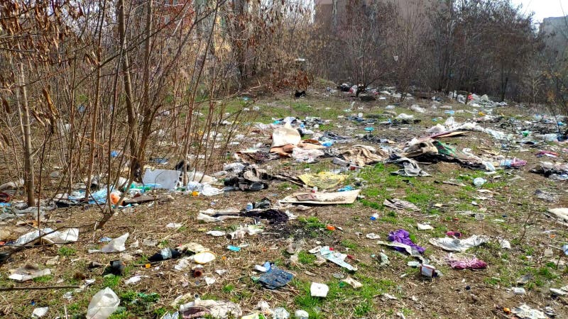 Garbage Falls on the Ground in the Forest. the Problem of Environmental ...