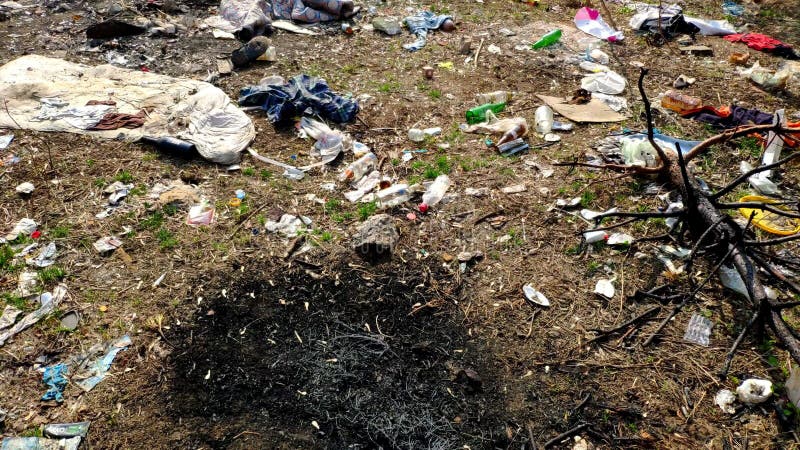 Garbage Falls on the Ground in the Forest. the Problem of Environmental ...