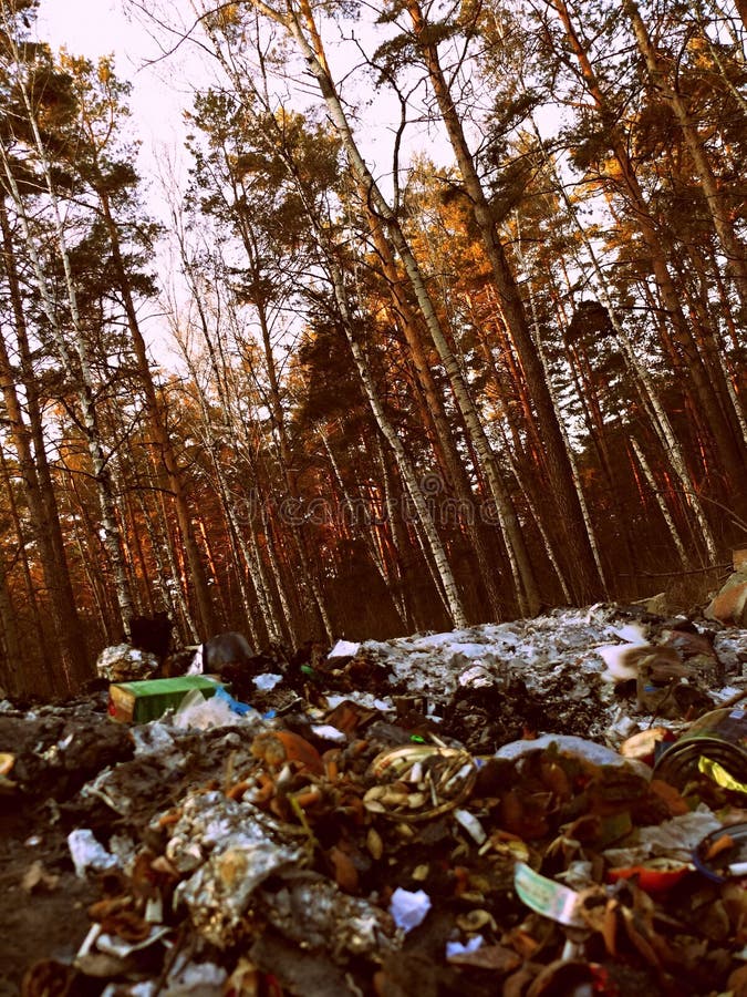 Lot of garbage in nature editorial stock image. Image of plastic - 70047504
