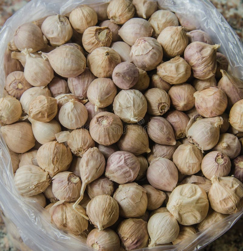 Lot of garlic stock image. Image of ingredient, fresh - 34069759