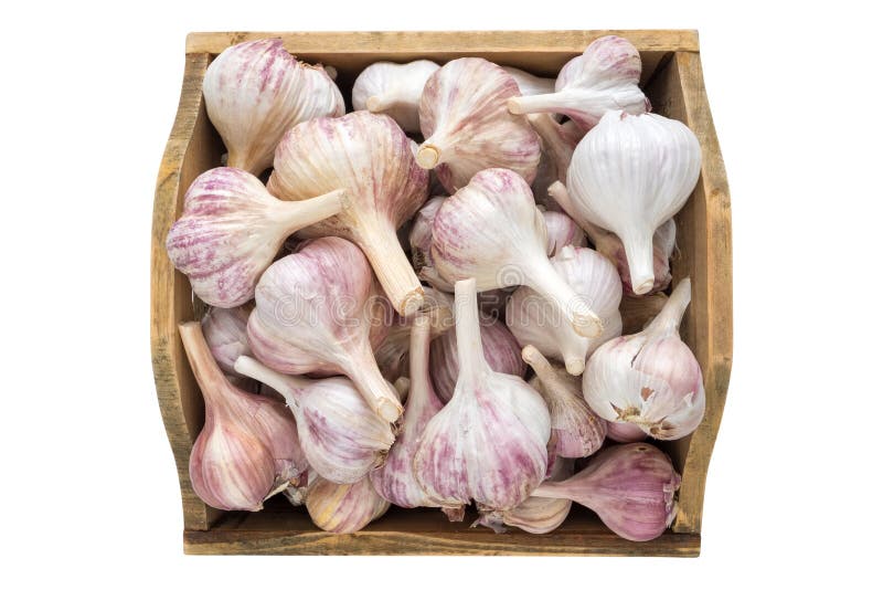 A Lot of Garlic in Wooden Box on Wooden Board. Stock Image - Image of ...