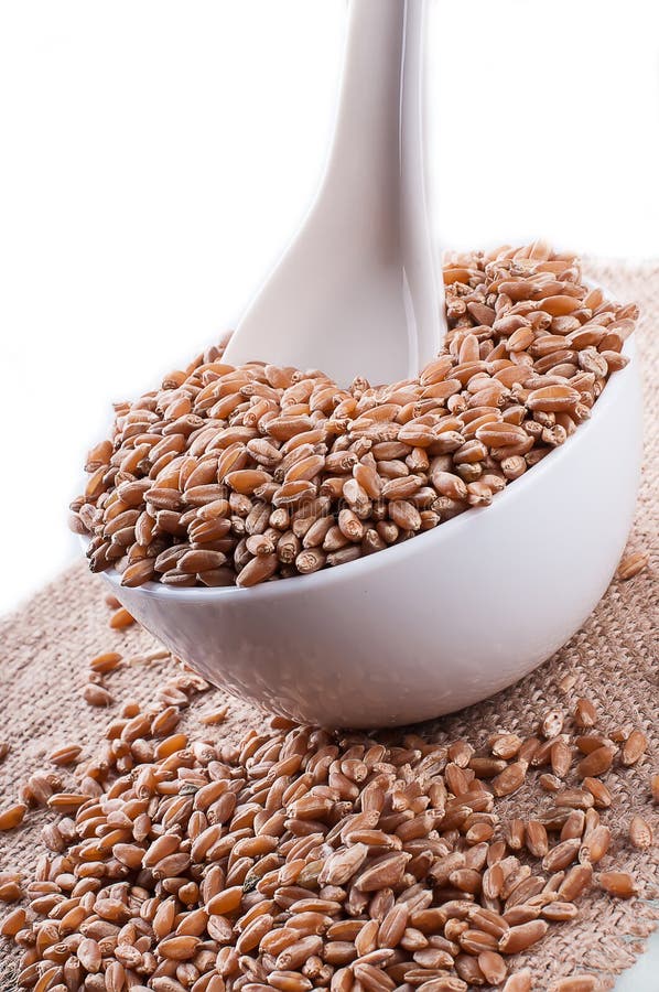 A lot of grain in a vessel stock image. Image of focus - 30718353