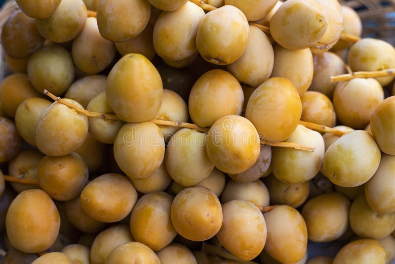 A Lot of Green Dates in the Supermarket - Phoenix Dactylifera Stock ...