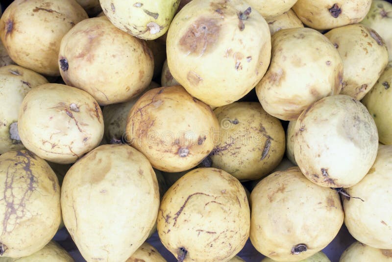 Lot of Guava (guayaba) in a Market in Peru. Stock Image - Image of ...
