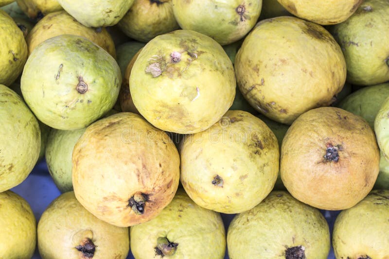 Lot of Guava (guayaba) in a Market in Peru Stock Photo - Image of ...