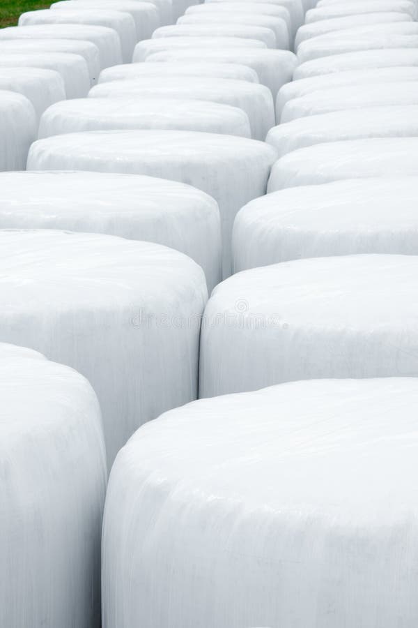 Hay Bales Packed in White Plastic for Storage Stock Photo - Image of ...
