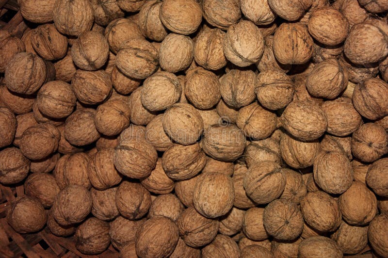 A lot of inshell walnuts. stock image. Image of brown - 162228127