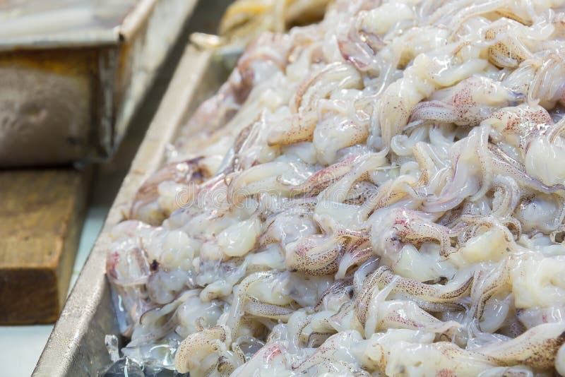 A Lot of Octopus with Tentacles, Stock Image - Image of closeup ...