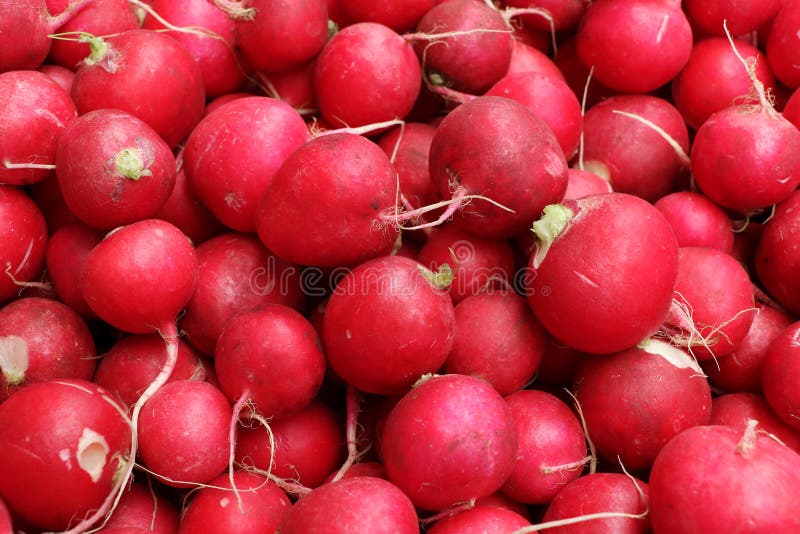 A Lot of Radish on the Tray Stock Image - Image of agriculture, natural ...