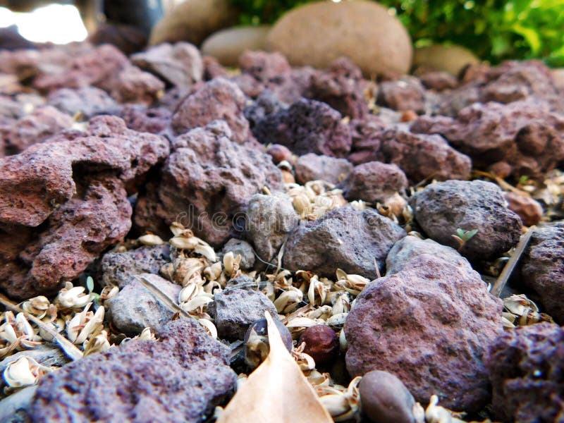 A lot of rocks stock photo. Image of concrete, gardening - 98275742