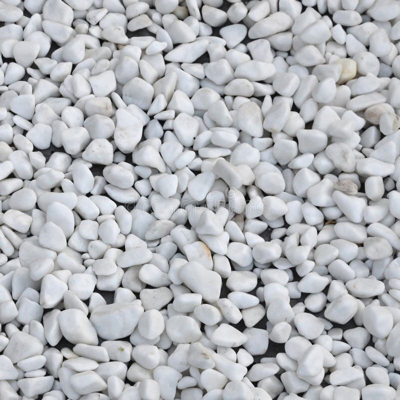 A Lot of Round and Oval Stones of White Color Lie on the Ground Stock ... A Lot of Round and Oval Stones of White Color Lie on the Ground Stock ...