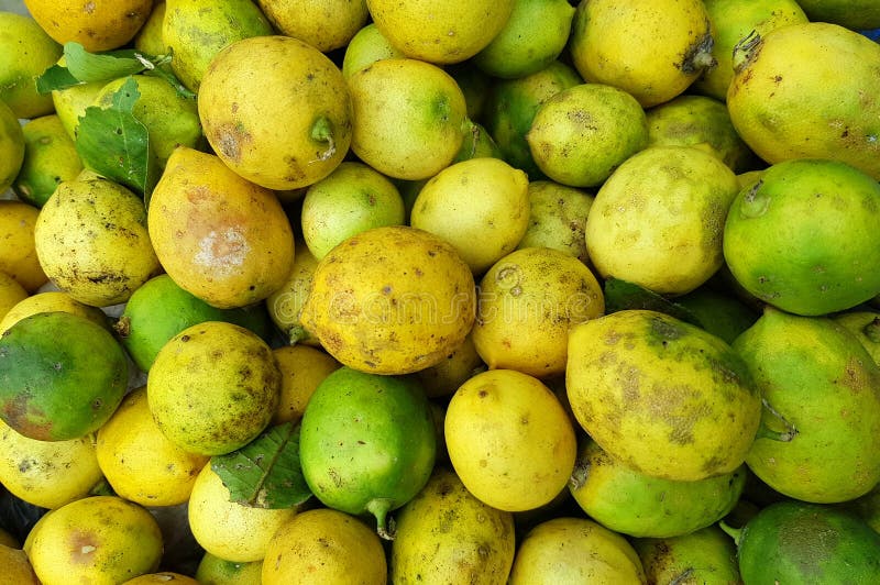 Assorted Citrons Stock Photos - Free & Royalty-Free Stock Photos from ...