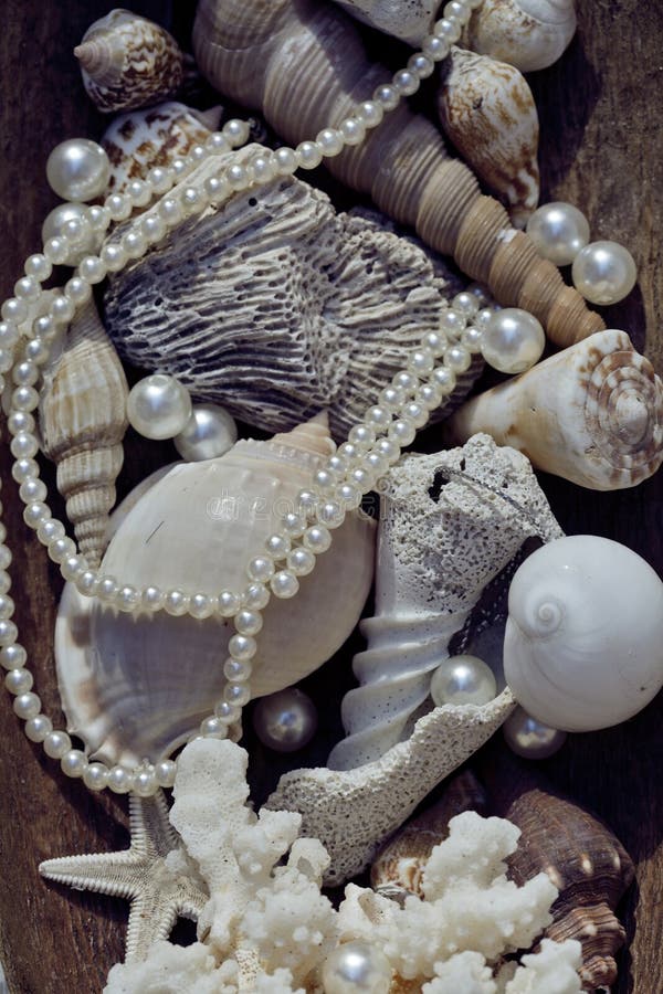 A Lot of Sea Shells and Perls in Art Mess Stock Photo - Image of ...