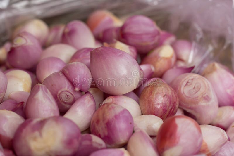 607 Many Shallots Stock Photos - Free & Royalty-Free Stock Photos from ...
