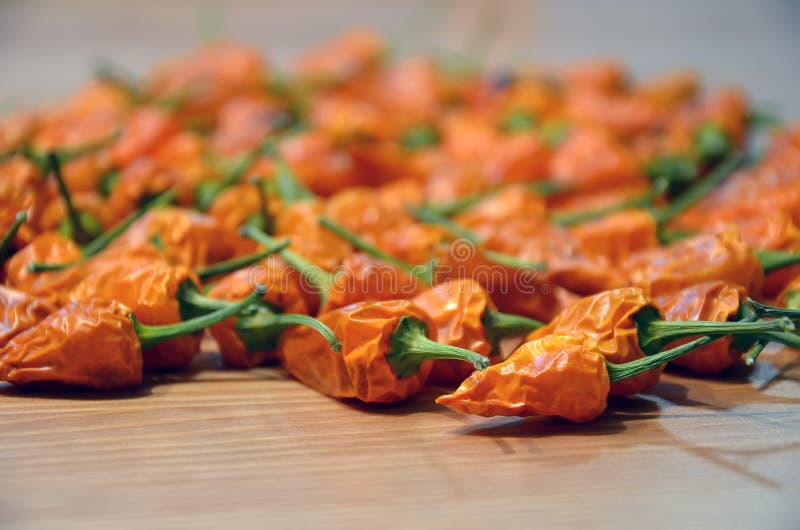 Lot of Small Dried Chilli on the Wood Table Stock Photo - Image of ...