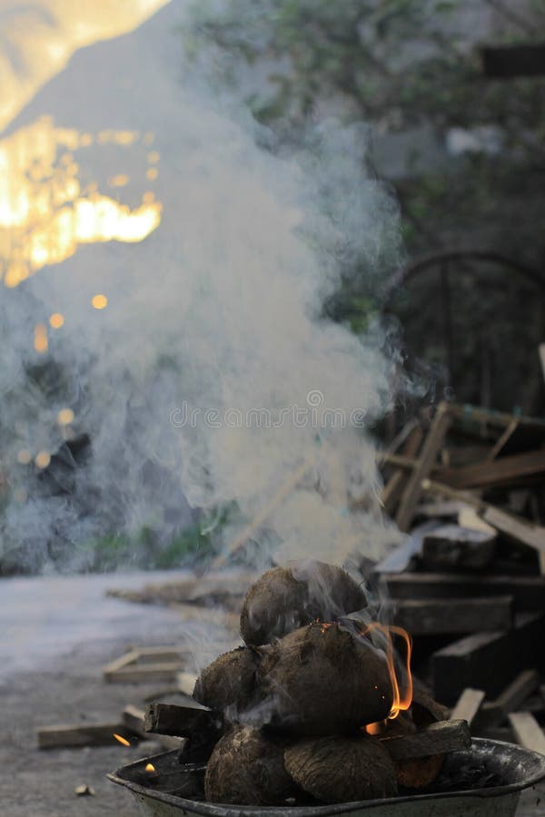 A Lot of Smoke when Burning Shells in the Yard. Stock Photo - Image of ...