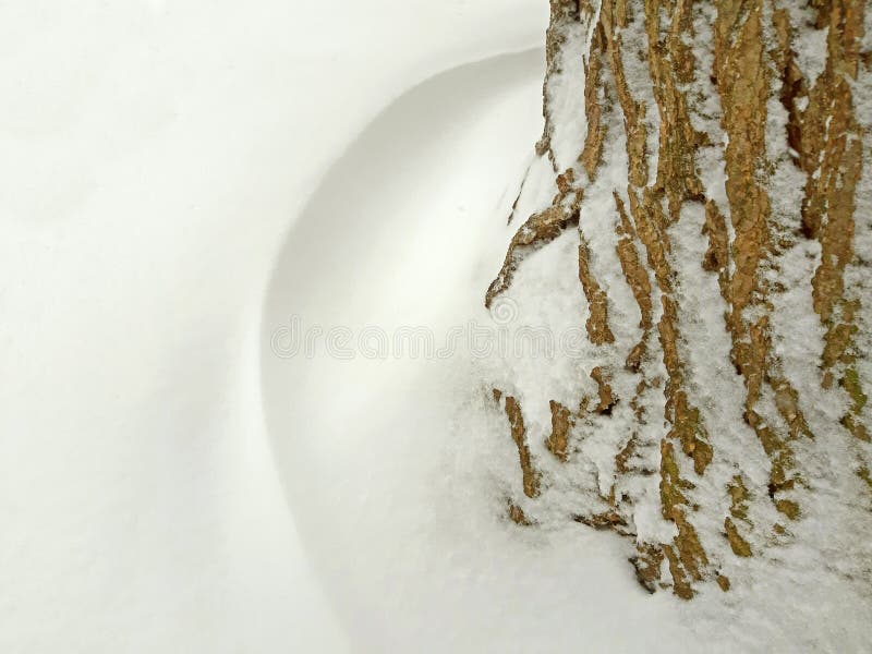 A Lot of Snow Around a Tree Stock Photo - Image of decoration, season ...