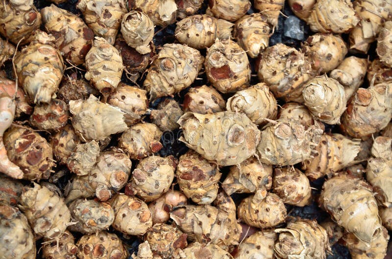 A lot of taro in basket stock photo. Image of group, agriculture - 23114886