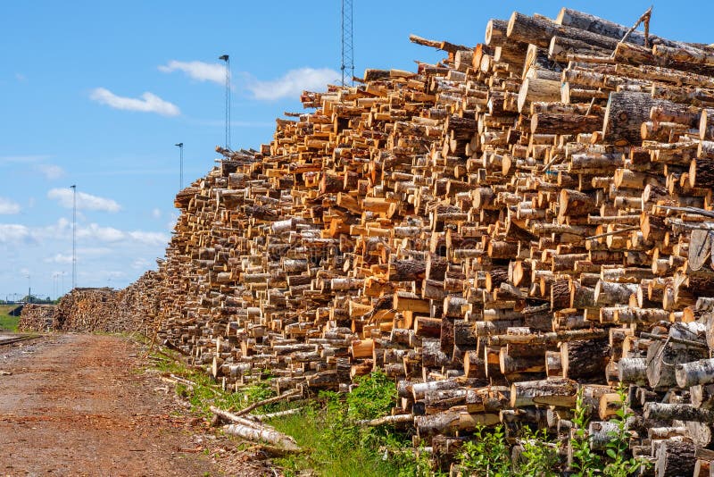Timber Stack stock image. Image of landscape, forest - 23536877