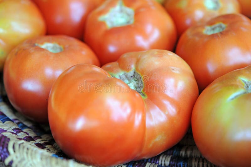 A lot of tomatoes stock image. Image of nutrition, carotene - 33854827
