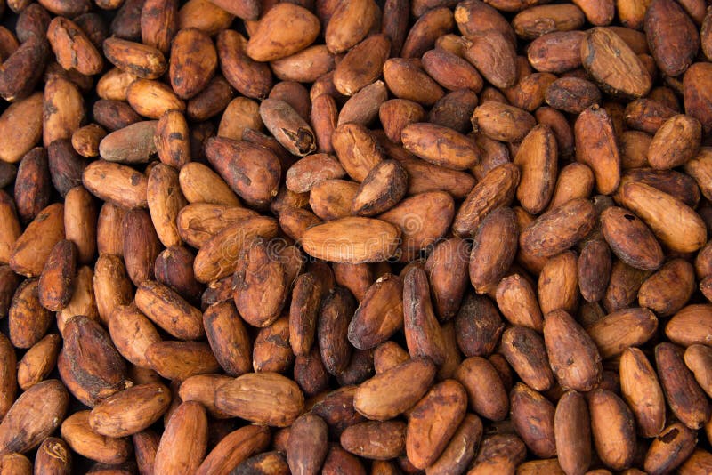 A Lot of Unpeeled Cacao Beans Texture Stock Image - Image of mass, food ...