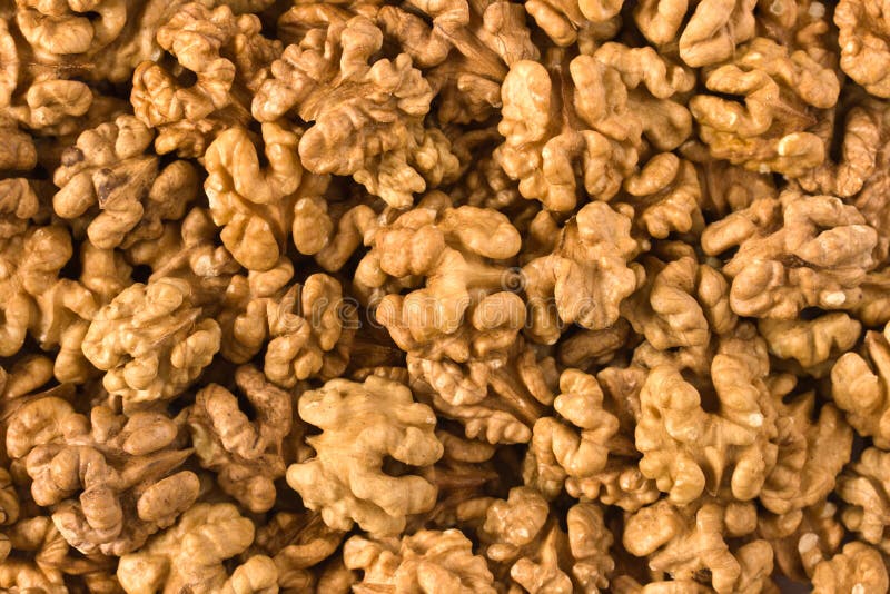 Lot of walnuts close up stock image. Image of kernel, closeup - 5915585