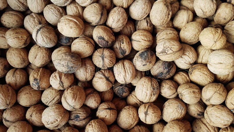 Inshell Walnuts As Background Stock Photo - Image of protein, harvest ...