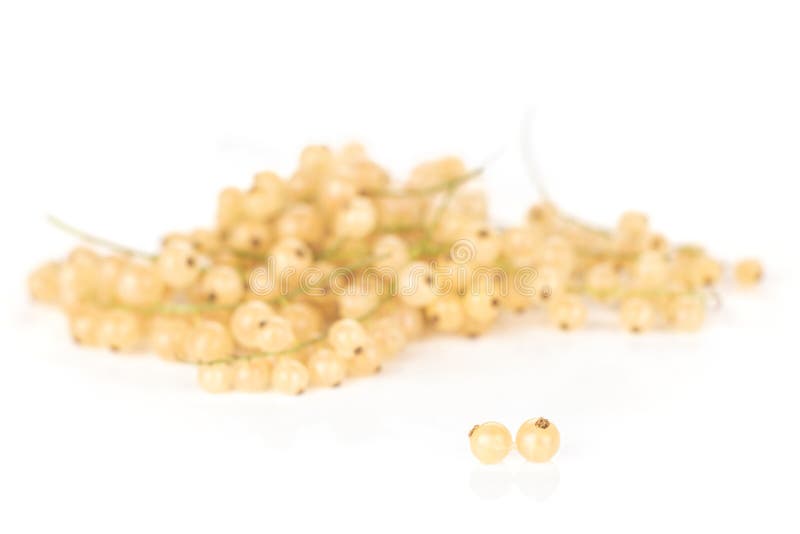 Fresh White Currant Berries Isolated on White Stock Photo - Image of ...