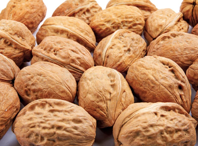 A Lot of Whole Walnuts on a White Background Stock Image - Image of ...