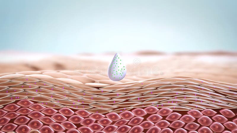 Lotion Drops for Dry Skin. Medical Representation of Skin Hydration ...