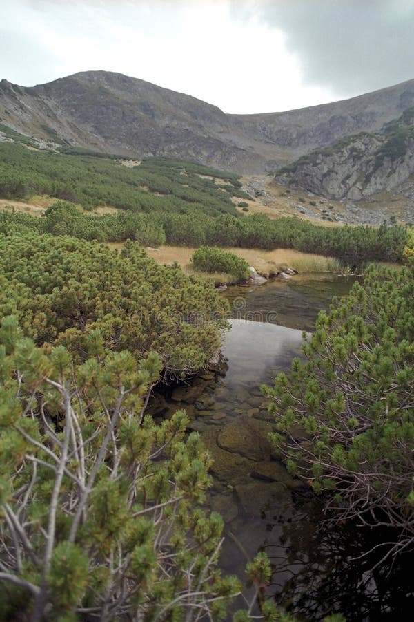 Lotru river springs stock photo. Image of lake, high - 21801710
