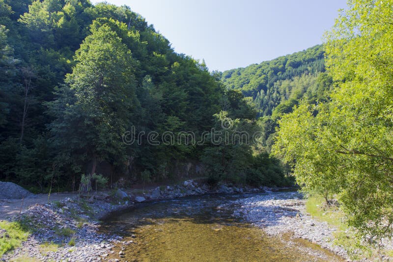 Lotru River Source in Romania Mountains Stock Photo - Image of romania ...